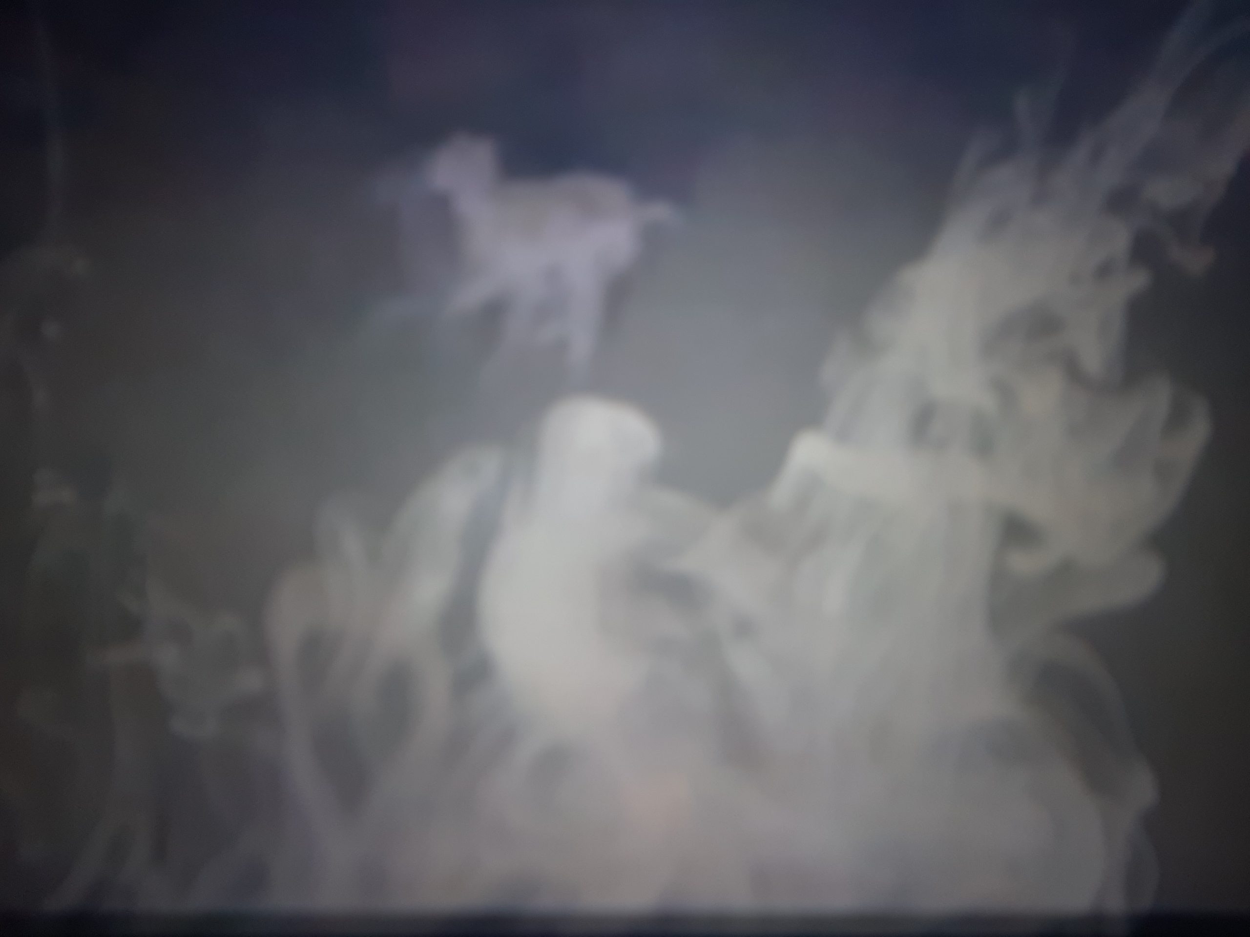 about - Beatrice Babin